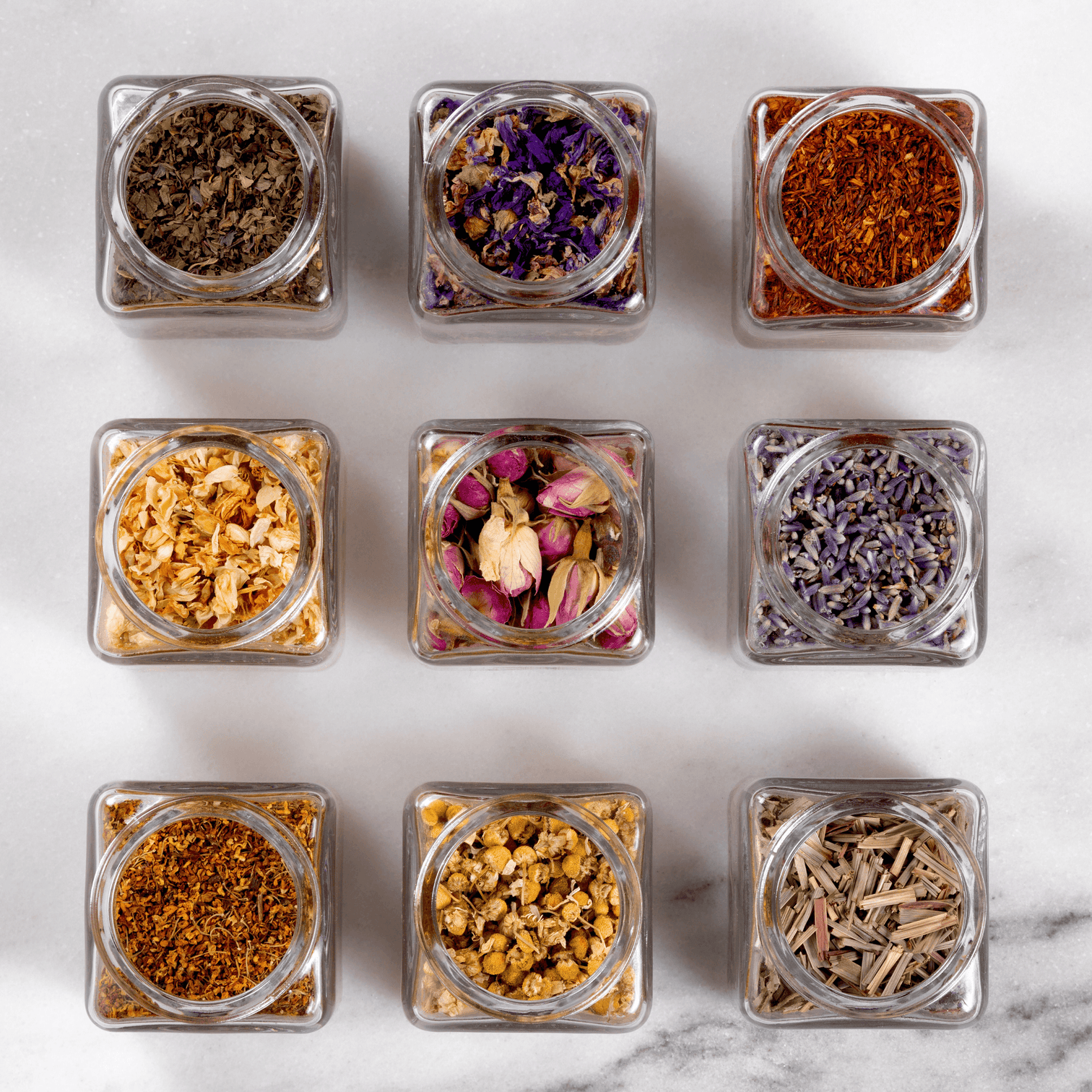 Best Herbs for Beginners – Nine Keys Botanica